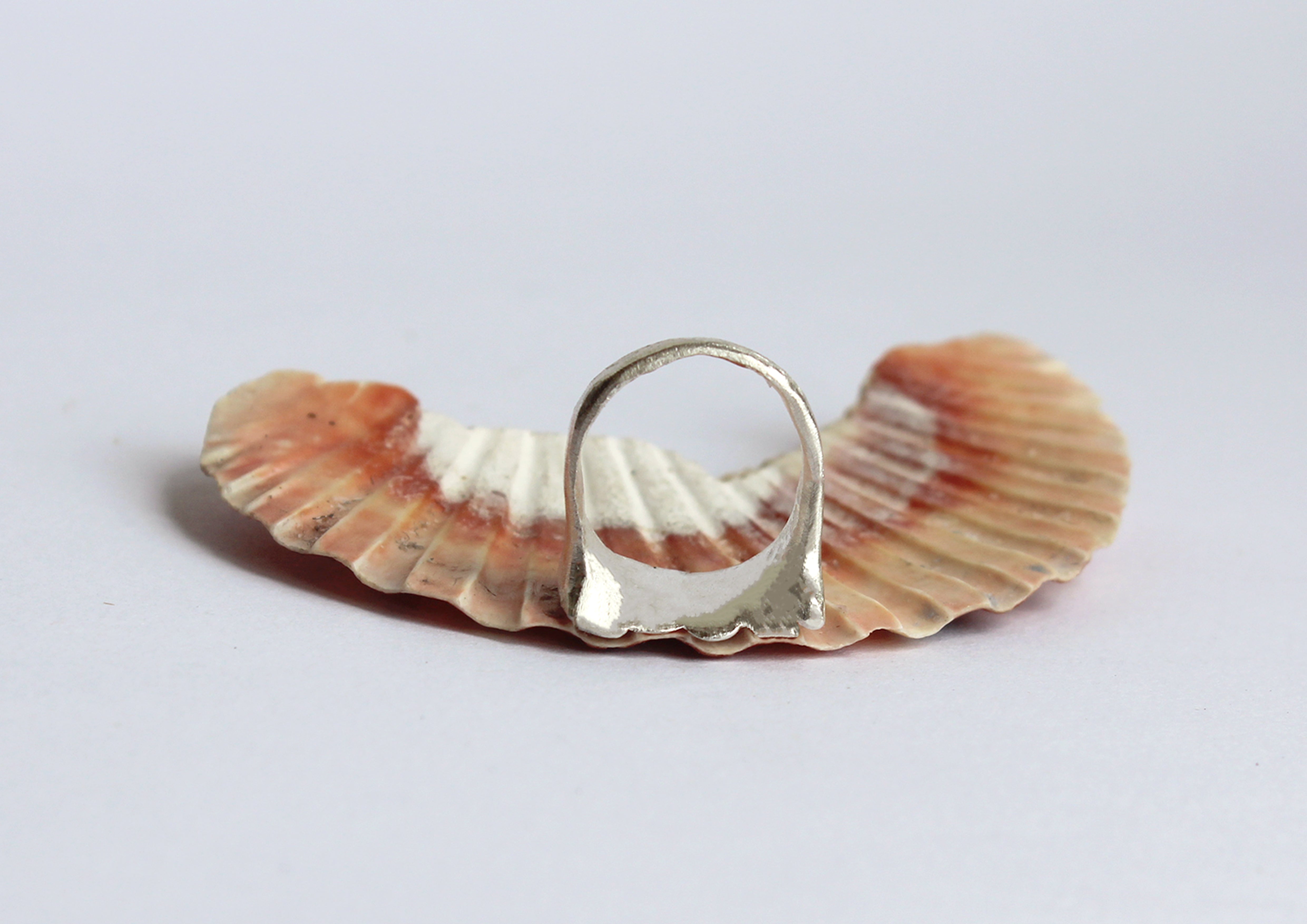 Scallop Imprint Ring – Hannah Bourn