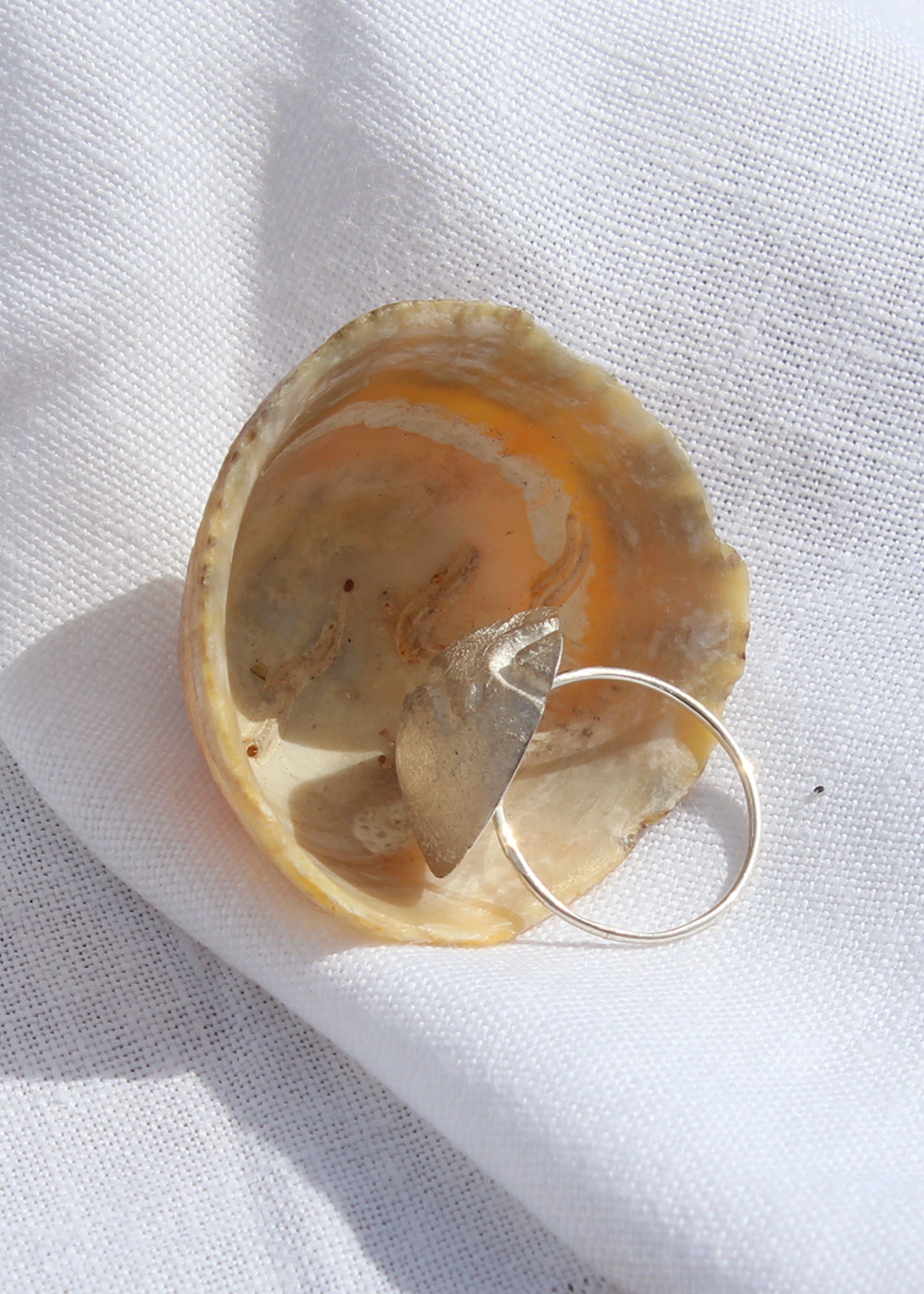 Limpet Imprint Ring – Hannah Bourn